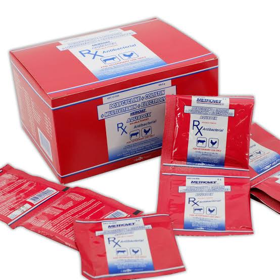 Gamot sa Pagtatae ng Biik - Pag-aalaga sa Baboy